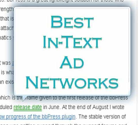 11 Best Highest Paying In-Text Advertising Networks for Bloggers