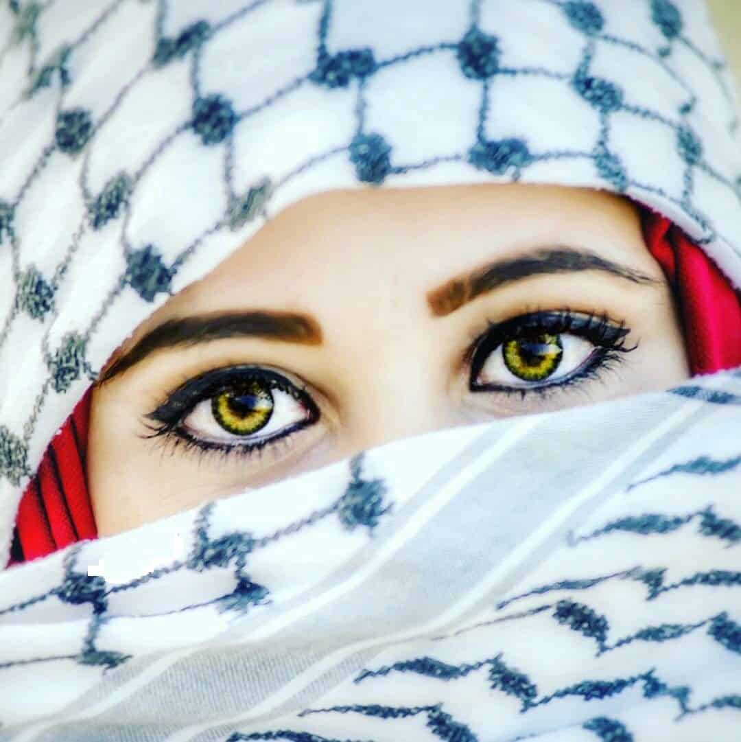 500+ Girls DP Image Profile Picture [ Stylish, Cute, Attitude]